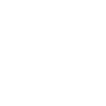 The Signature Automotive