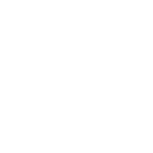 The Signature Automotive
